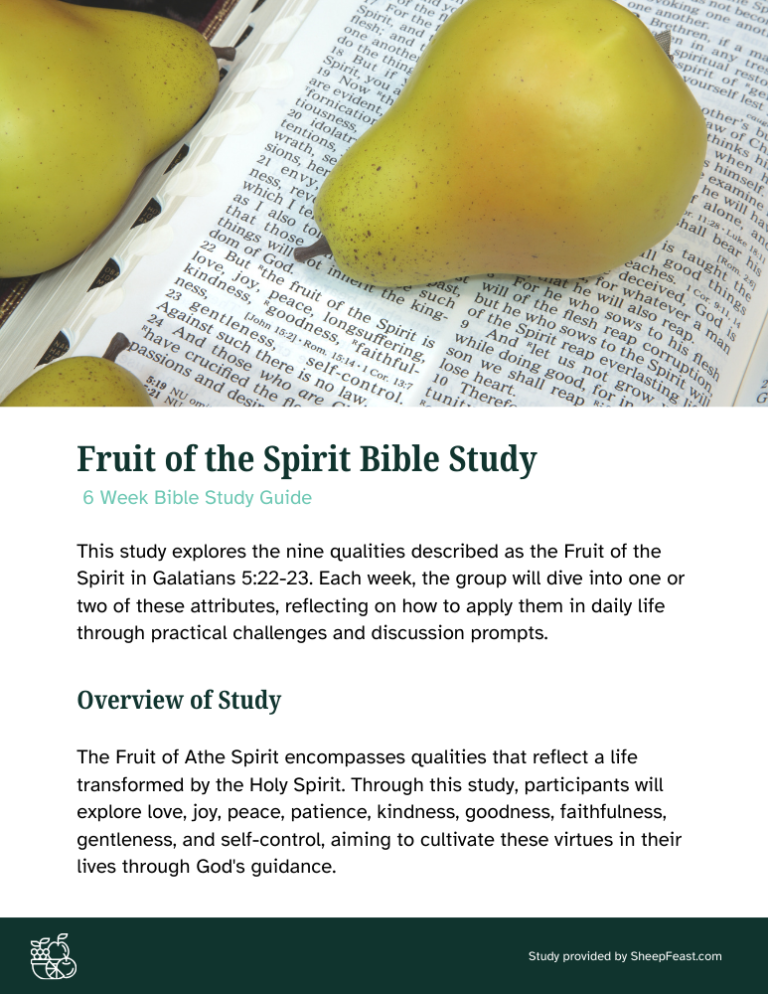 Free Bible Studies - SheepFeast